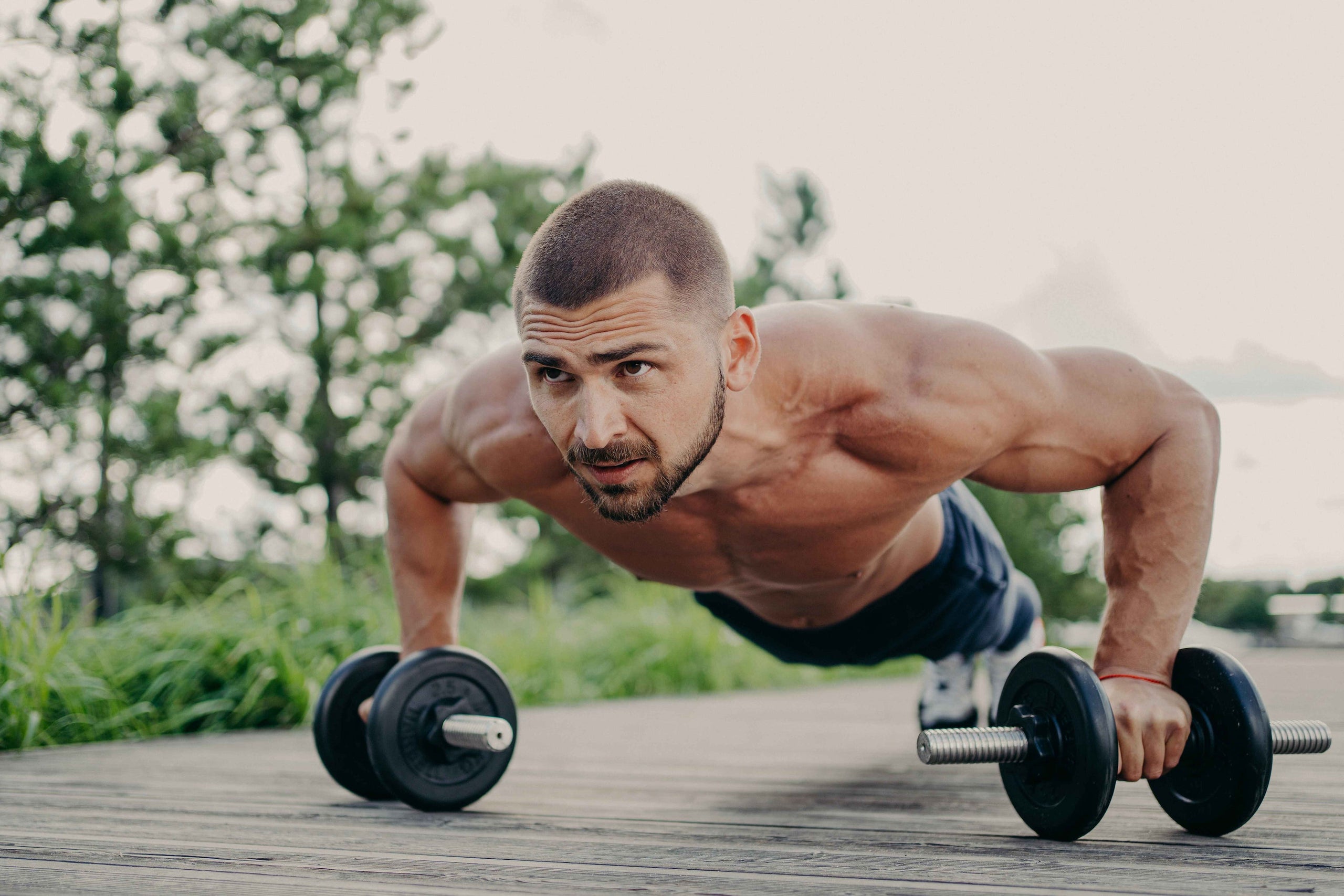 Understanding Hypertrophy and How to Maximise Gains – Flex Fitness ...