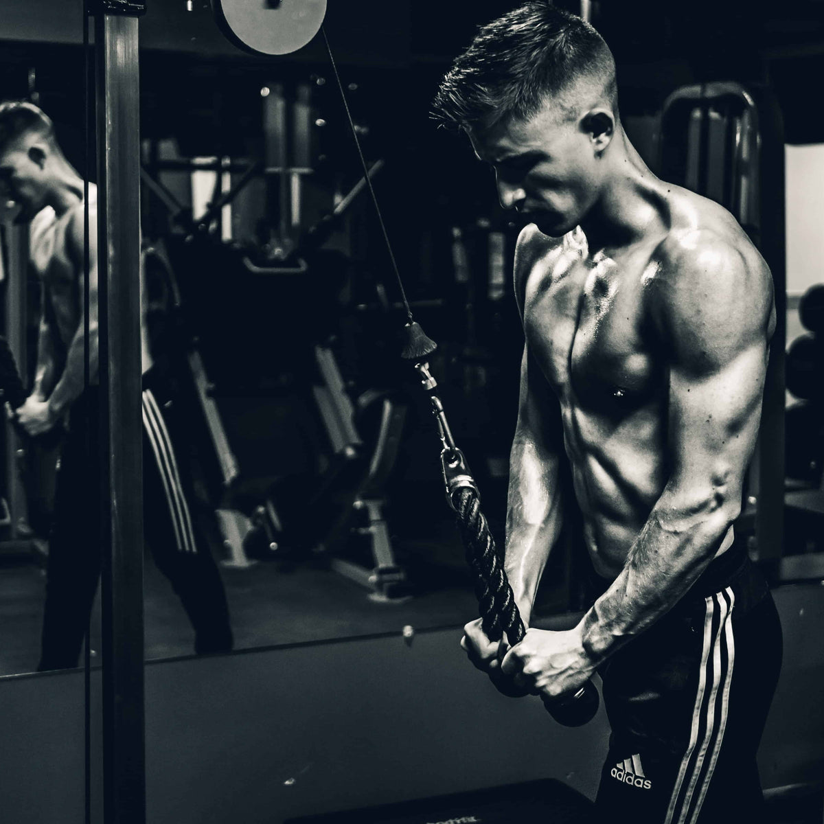 Top Tips for Hardgainers - Flex Fitness Equipment Build Muscle Blog ...