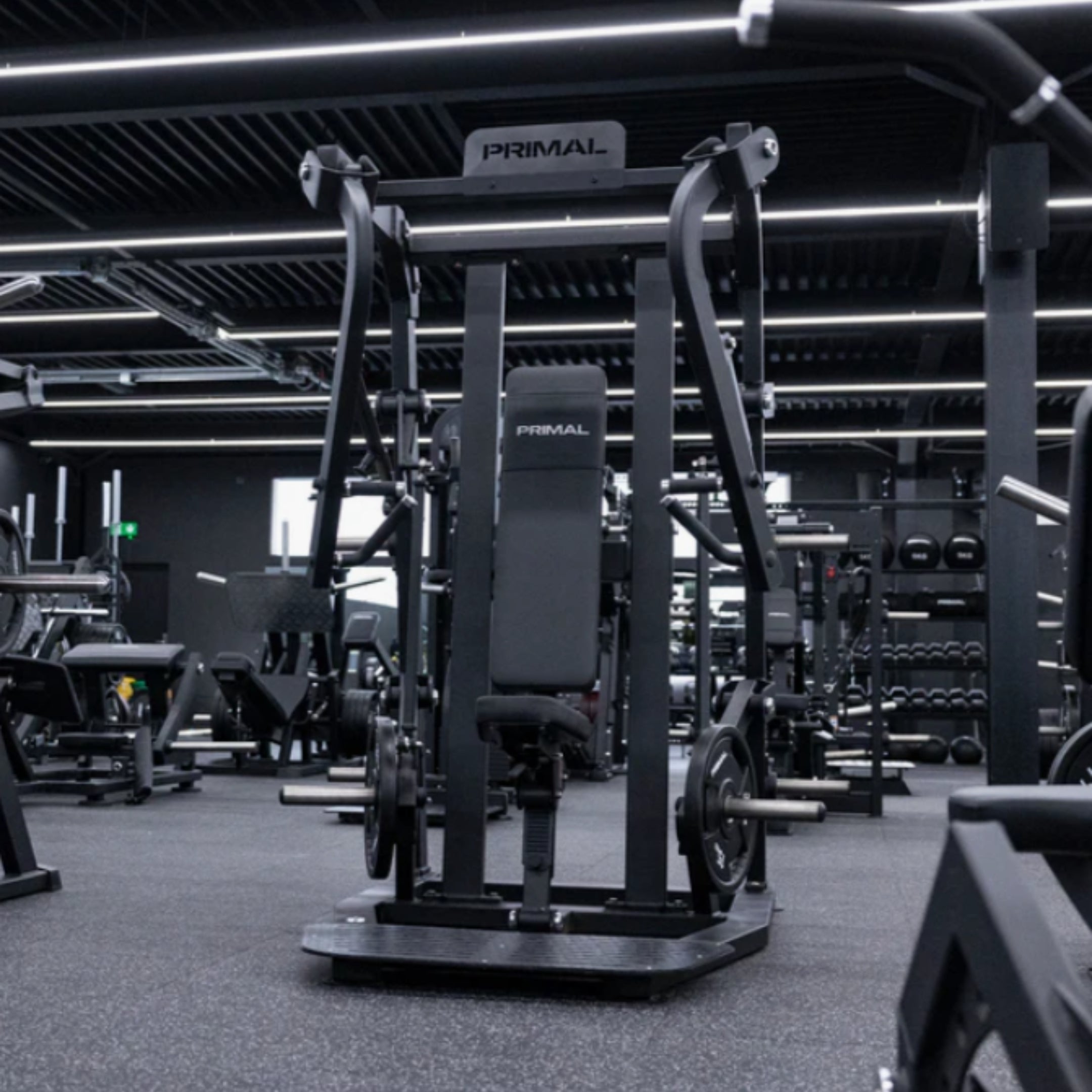 Primal Performance Series Plate Loaded Adjustable Chest Press – Flex ...